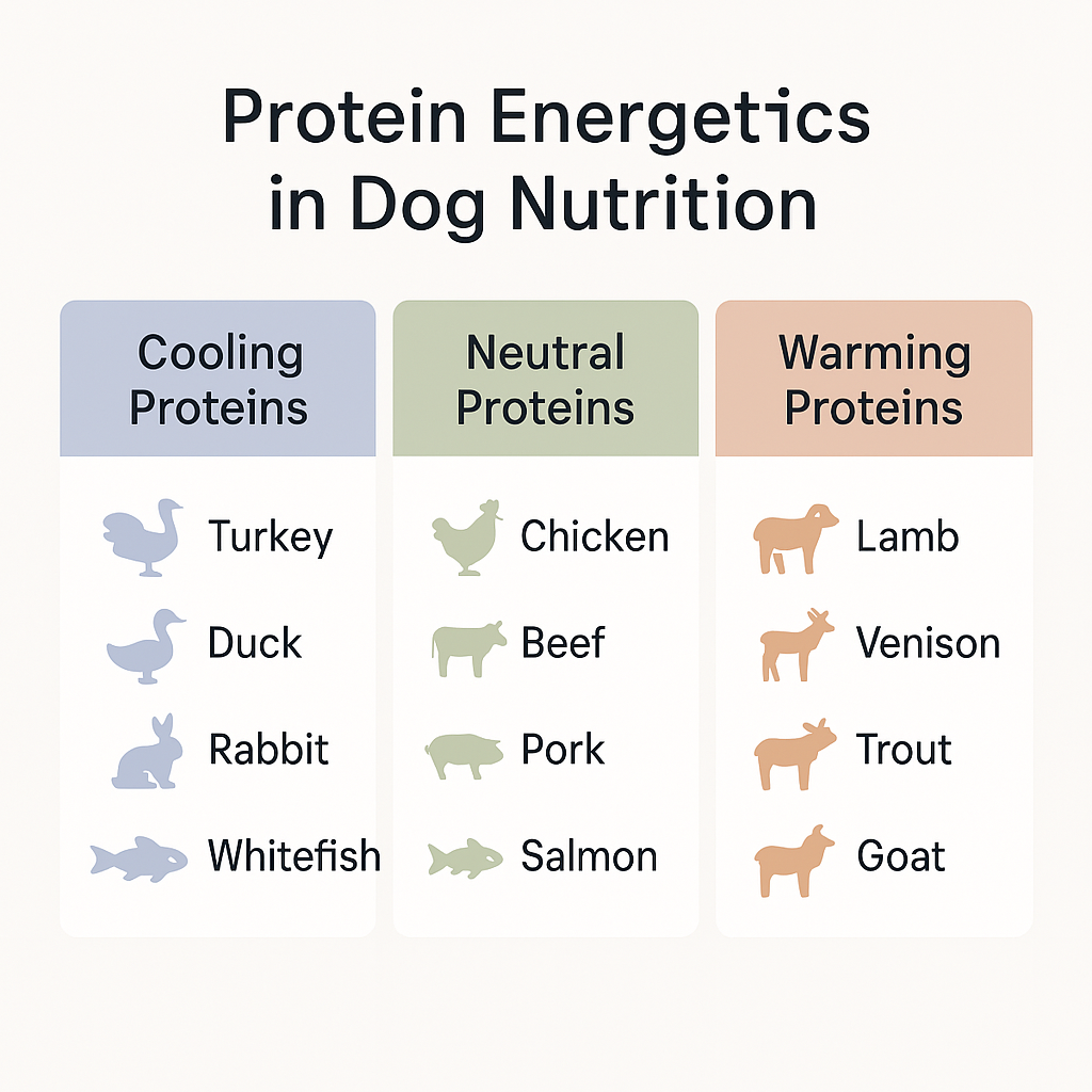 Protein Energetics in Dog Nutrition – Good For Dogs